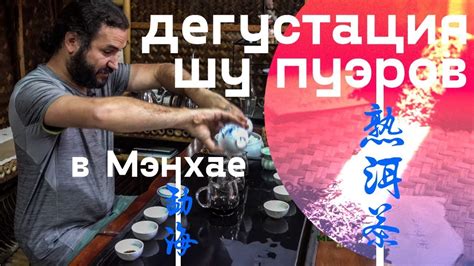 Дегустация шу пуэров в Мэнхае. Выбор чая. - YouTube