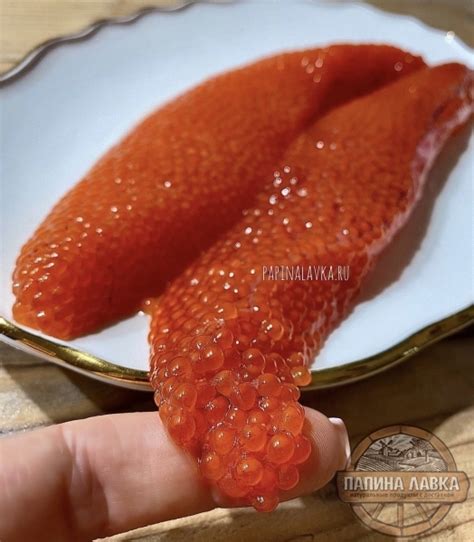 Икра форели в ястыках свежемороженая (Карелия) - Икра - заказать в ...