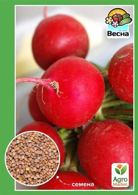 Редис "Чупа Чупс" (Новый пакет) ТМ "Весна" 2г купить почтой в Одессе ...