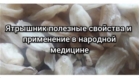 Ятрышник полезные свойства и применение в народной медицине - YouTube