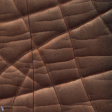 Gesso wallpaper CMO Paris | Wallpaper Gesso CMO WCA 01 – Selected ...