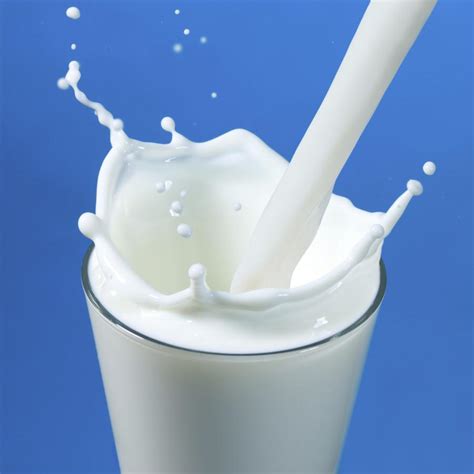 Milky Myth – BHS Insight