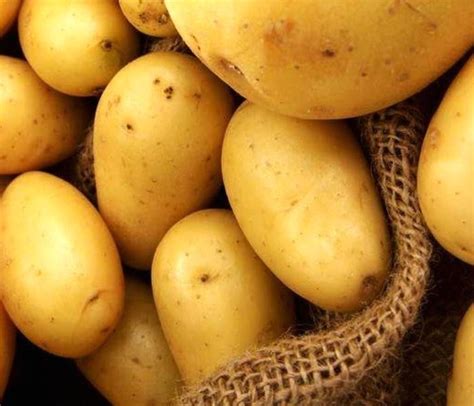 Картофель 15 самых вкусных и урожайных сортов с желтой мякотью