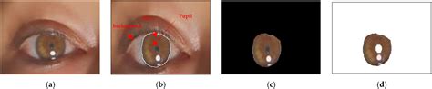 Iris Recognition System Using Advanced Segmentation Techniques and Fuzzy Clustering Methods for ...