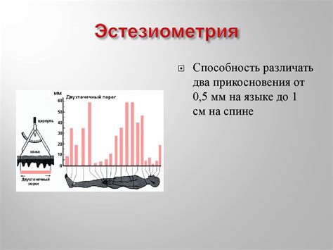Анализаторы (эстезиология) - online presentation
