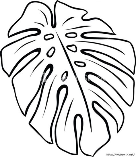 Коврик в виде листа монстеры | Leaf drawing, Leaf stencil, Tropical leaves