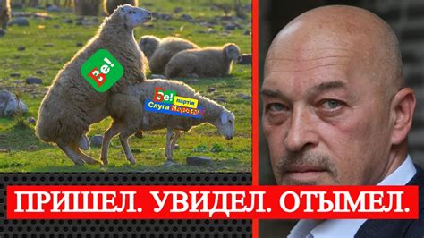 Пришел. Увидел. Отымел. - YouTube