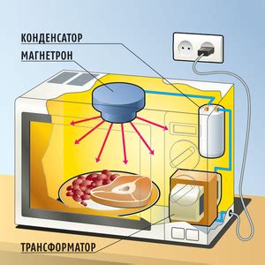 Микроволновая печь: действие и принцип работы, устройство СВЧ печи и ...
