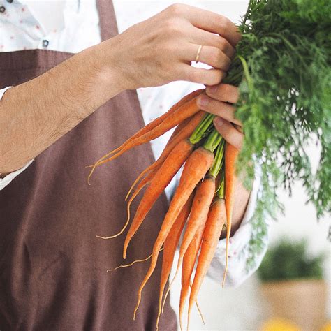 Unica - корма супер-премиум класса из Италии - 🥕Для чего морковь в ...