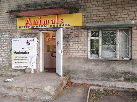 Animals – ветеринарная клиника по адресу 23 Августа, 20 А – отзывы ...