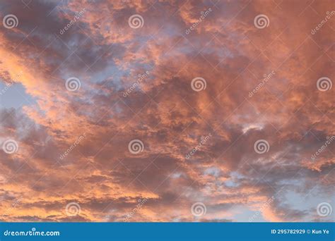 Evening glow stock image. Image of sunrise, tree, cloud - 295782929