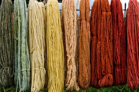 Merinos 이미지 – 찾아보기 19,008 스톡 사진, 벡터 및 비디오 | Adobe Stock