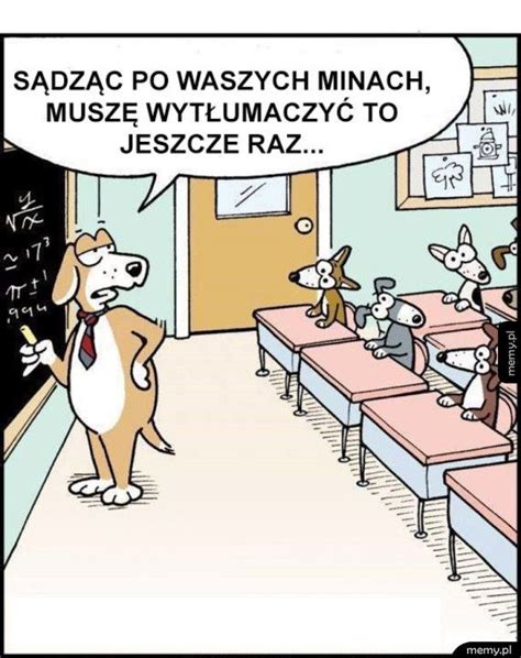 Memy Lekcja / Lekcja memy (#Lekcja) - Memy.pl