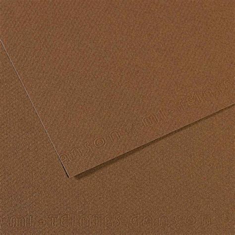 Canson Mi-Teintes Touch Sanded Board, Sepia (133) 20" x 30" (5 Pack ...