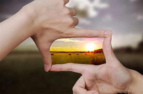 249,800+ Clear Focus Stock Photos, Pictures & Royalty-Free Images - iStock