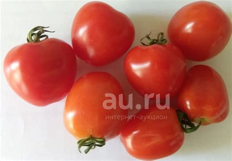 семена томата черри Клубничка( Томатоберри) — купить в Красноярске ...