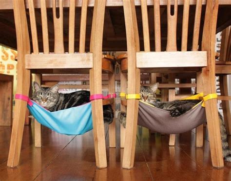 9 способів зробити зручний гамак для кішки - Chic Crafts