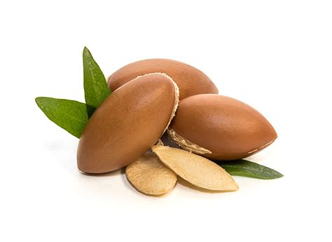 Arganöl - Ziani Organic Oils | Ihr Lieferant