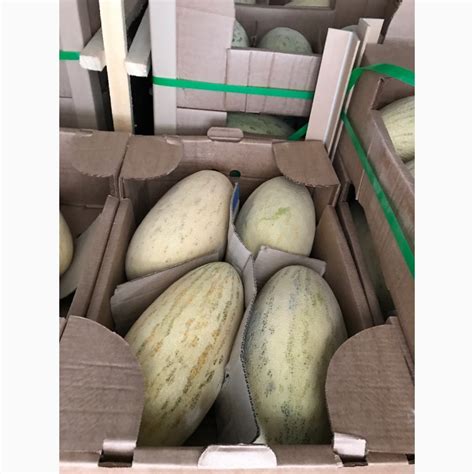 Продам узбекская дыня торпедо, купить узбекская дыня торпедо — Agro-Ukraine