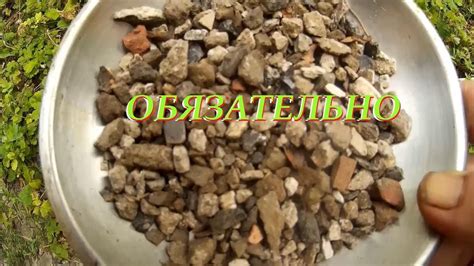 Куры несушки Гравий обязательно - YouTube