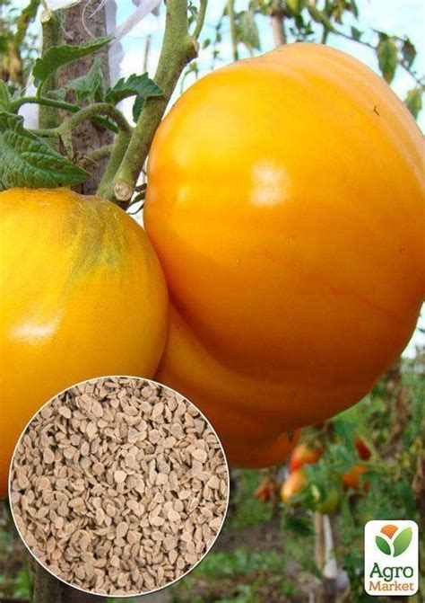 На развес Томат "Бычье сердце желтое" ТМ "Весна" цена за 1г купить ...