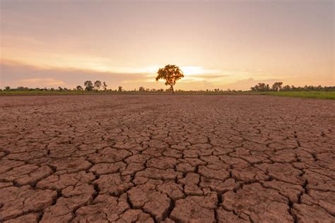 Breaking Climate Records - 2SER