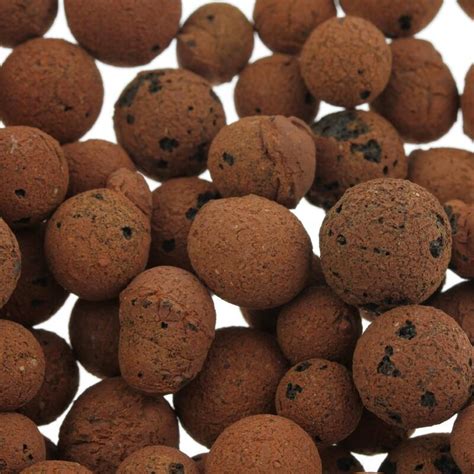 Plagron Euro Pebbles Tongranulat 10L - growland
