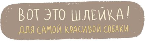 Функциональные шлейки для собак IN GOOD COMPANY