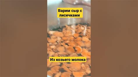 Варим сыр с лисичками. - YouTube