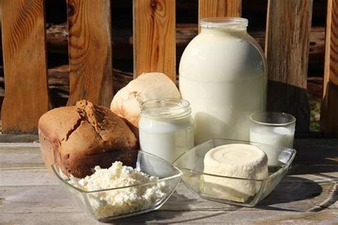 Местная кухня и где ее попробовать в Архангельске
