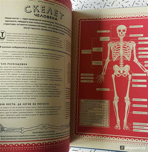 Книга: Мир информации - Ричард Платт. Купить книгу, читать рецензии ...