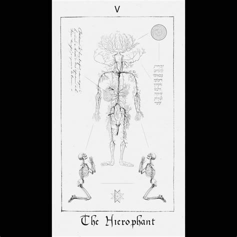 Bộ Bài Paracelsus Dreams Tarot - Tri Thức Huyền Bí Từ Giải Phẫu Học