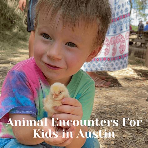All The Best Animal Encounters For Kids in Austin - Austin Fun for Kids