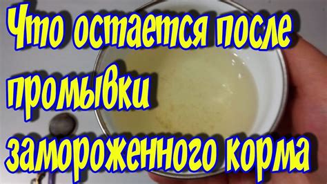 Замороженный корм для аквариумных рыб! Промывать или и так сойдет ...