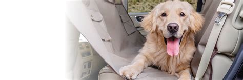 Bienvenue à PetSafe® France Site officiel - PetSafe® France