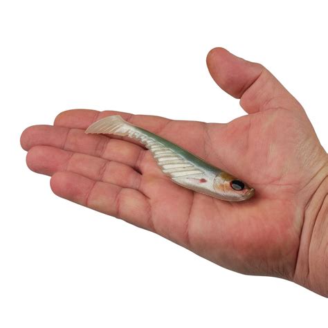 PowerBait® Ripple Shad | Berkley Fishing®