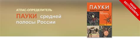 Фитон XXI