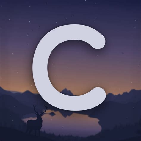 Chicony - YouTube