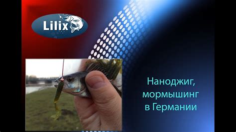 Наноджиг,мормышинг в Германии (Рыбалка в Германии) - YouTube