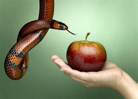 Overcoming Temptation - How to Resist and Grow Stronger