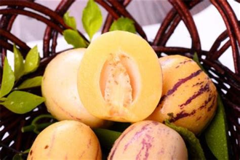 How to eat ginseng fruit - The Plant Aide