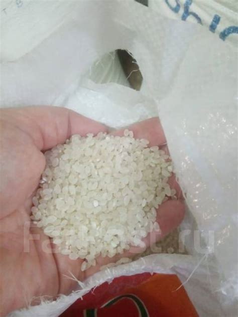 Рис круглый Приморский 25кг, в наличии. Цена: 75₽ во Владивостоке
