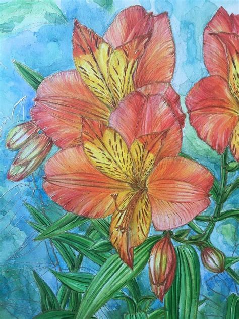 Astromeria is the joy of summer. Цветы астромерия. Painting by Lara ...
