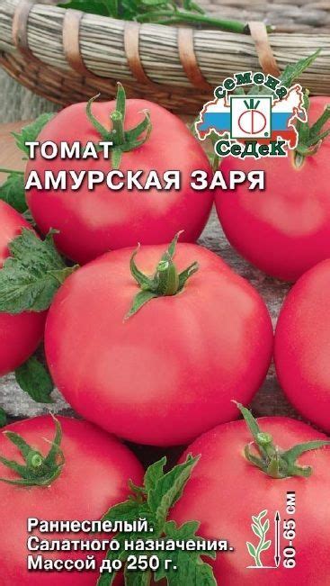 Семена: Томат Амурская Заря - интернет-магазин СеДеК