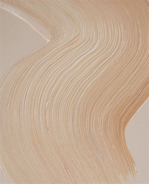 Ecofocus - Butsudart.com