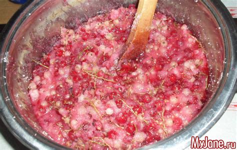 Желе из красной (белой) смородины. Быстро и вкусно - ягоды, желе ...