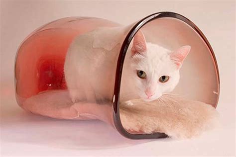 Кошачьи домики (32 фото)