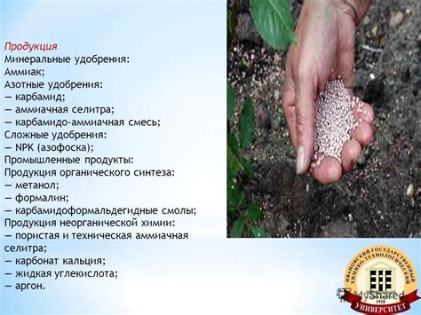 Презентация на тему: "Кафедра технологии неорганических веществ Это ...