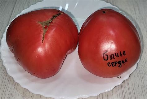 Томат Бычье сердце - Садоводство с Еленой