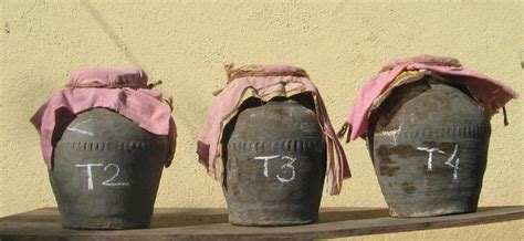 Gomutra - Alchetron, The Free Social Encyclopedia